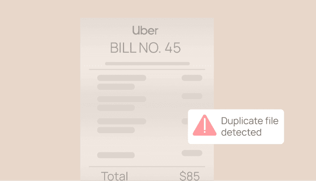 Expense Management - TripGain
